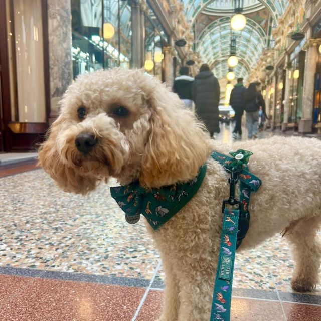 Visit Our Shopping Centre In Leeds | Victoria Leeds